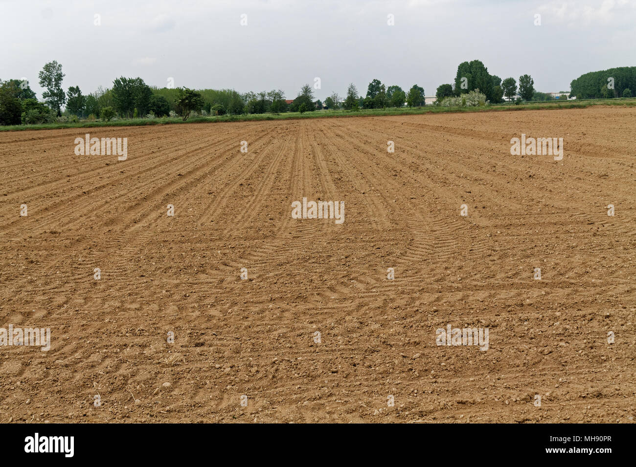 Plow land preparing ground to the harvest Stock Photo - Alamy