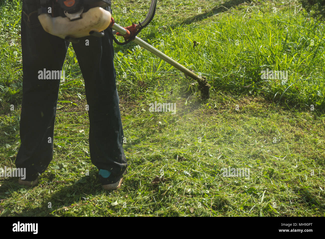The gardener cutting grass by lawn mower Stock Photo - Alamy