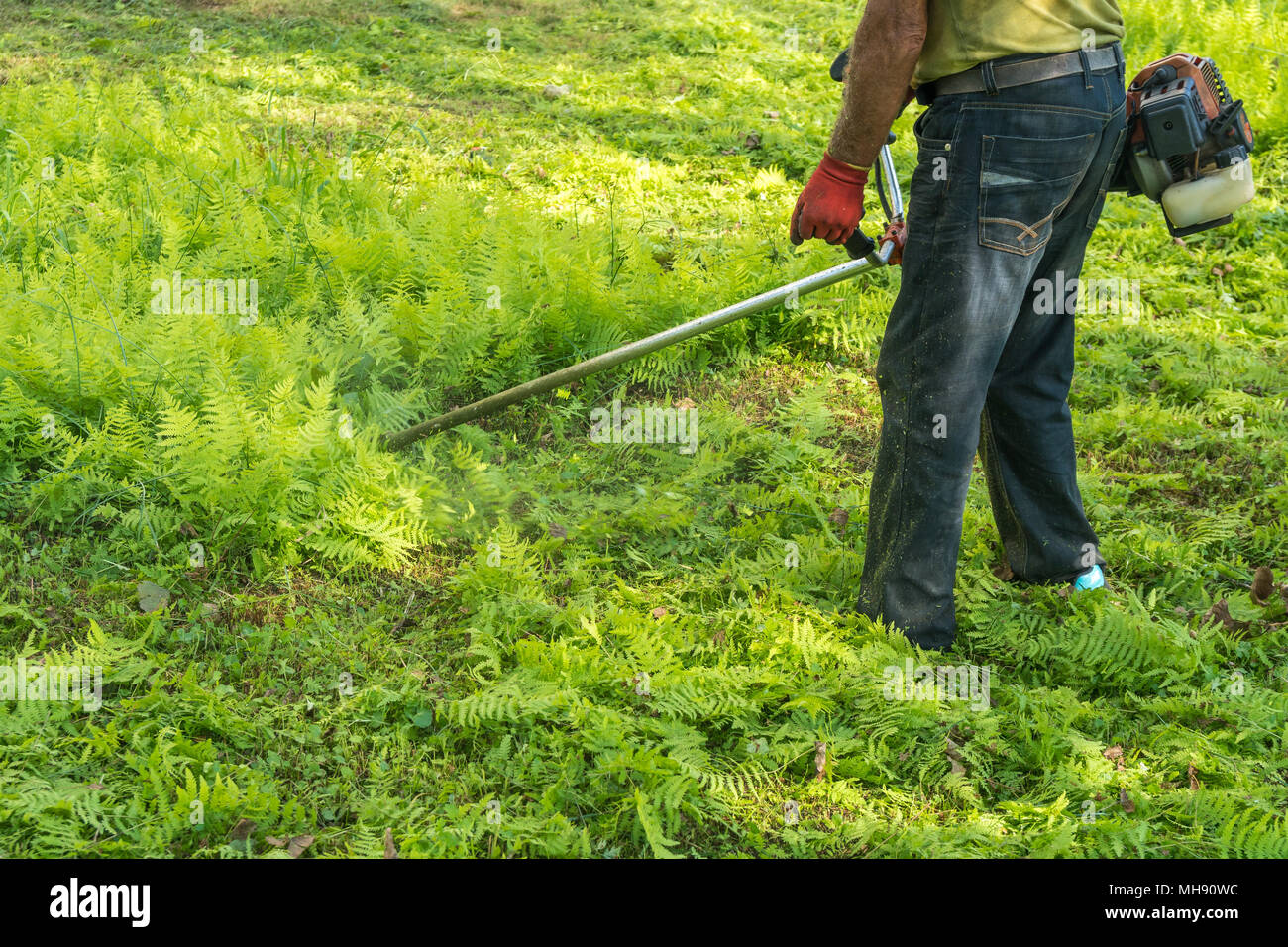 The gardener cutting grass by lawn mower Stock Photo - Alamy