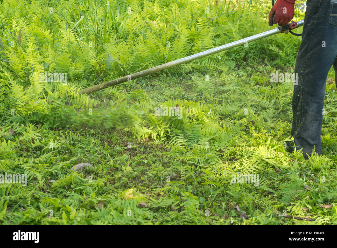 The gardener cutting grass by lawn mower Stock Photo - Alamy