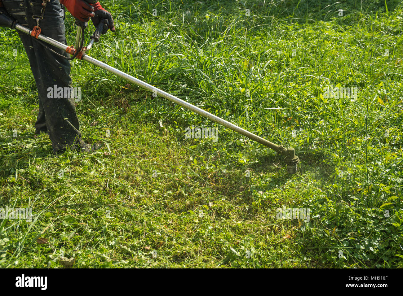 The gardener cutting grass by lawn mower Stock Photo - Alamy