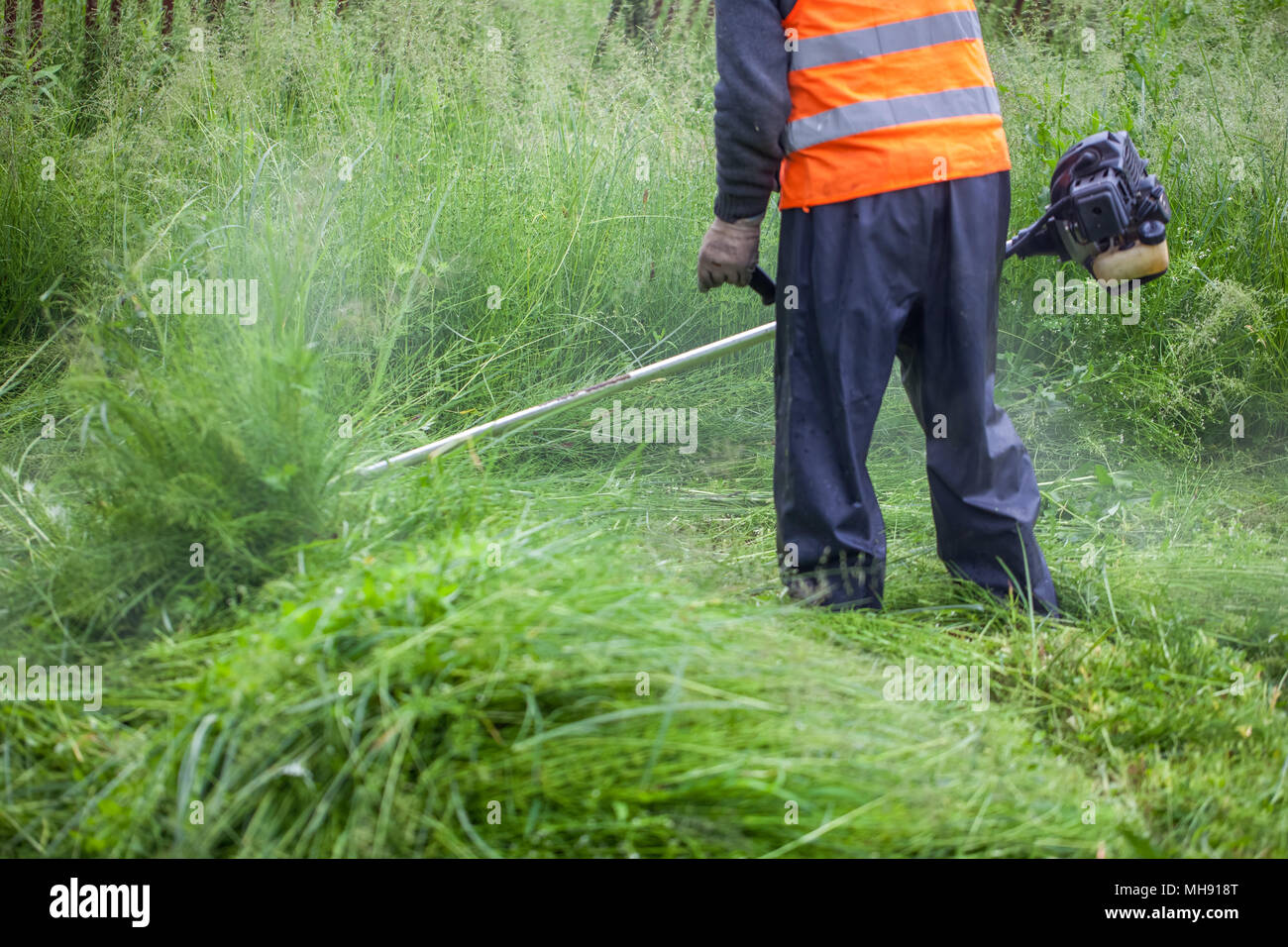 The gardener cutting grass by lawn mower Stock Photo - Alamy