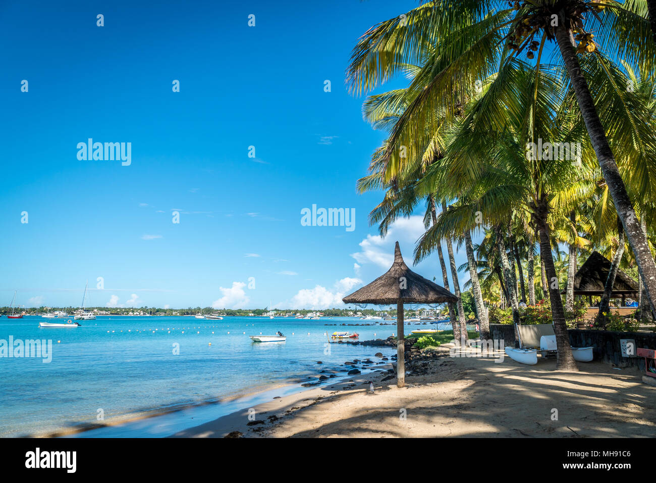 Most Epic Picture In The World