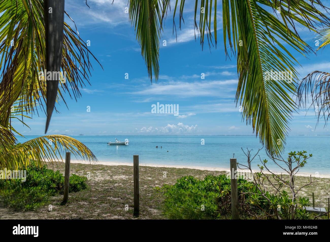 Most Epic Picture In The World