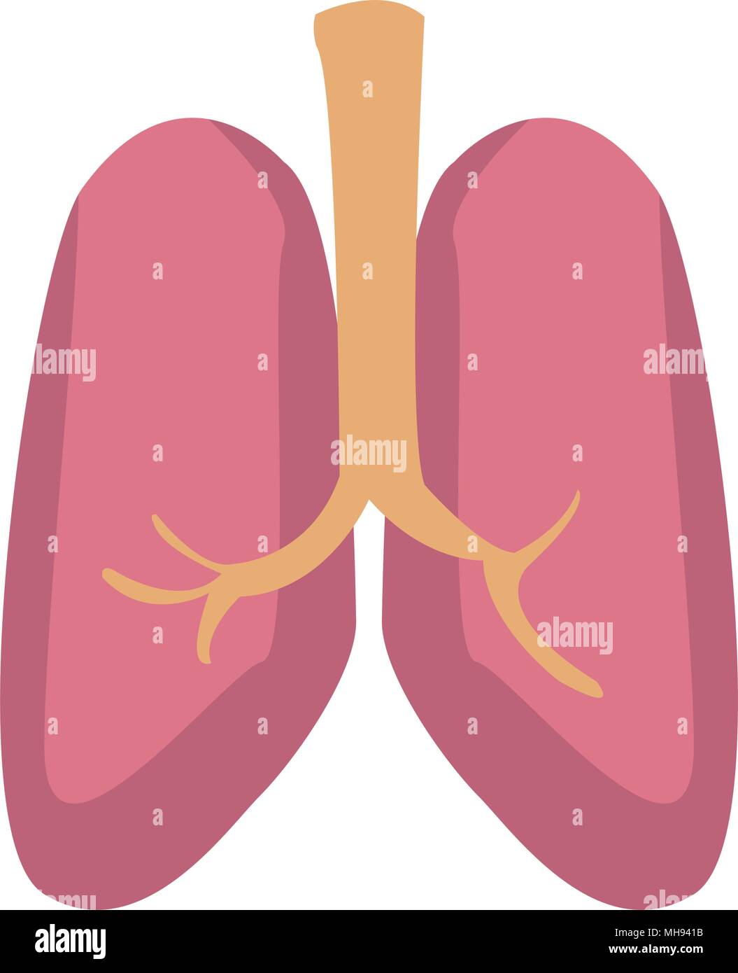 Human Lungs Isolated Stock Vector Image And Art Alamy