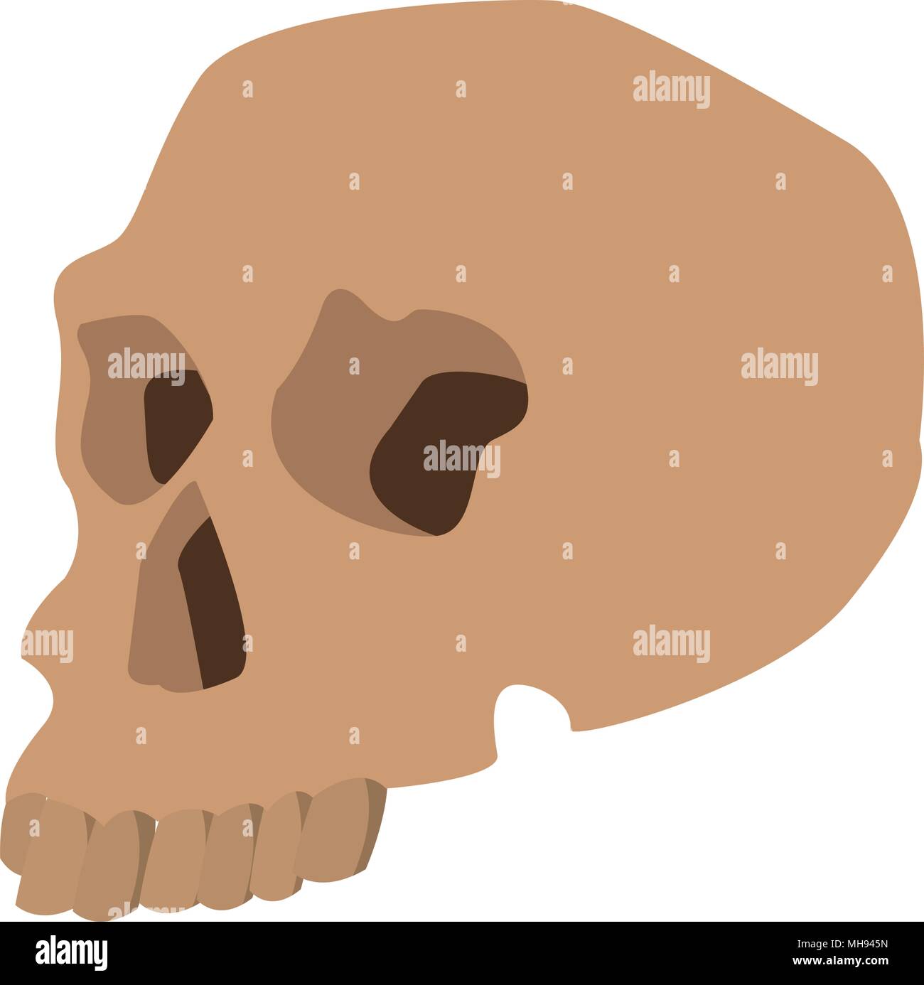 Human skull cartoon Stock Vector Image & Art - Alamy