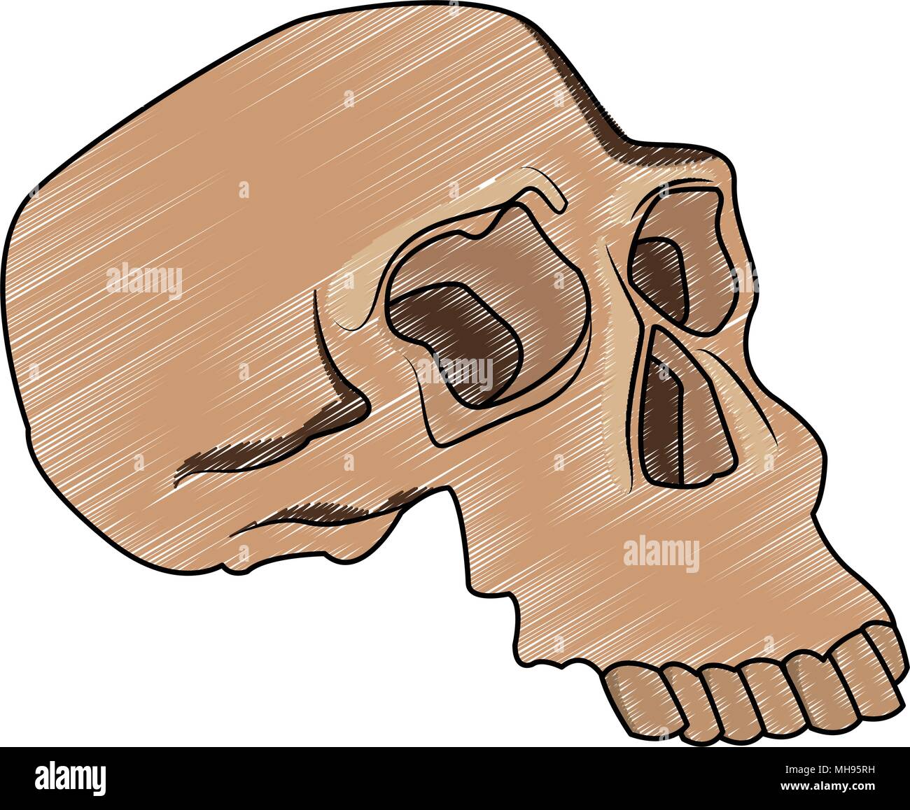 Human skull cartoon scribble Stock Vector Image & Art - Alamy