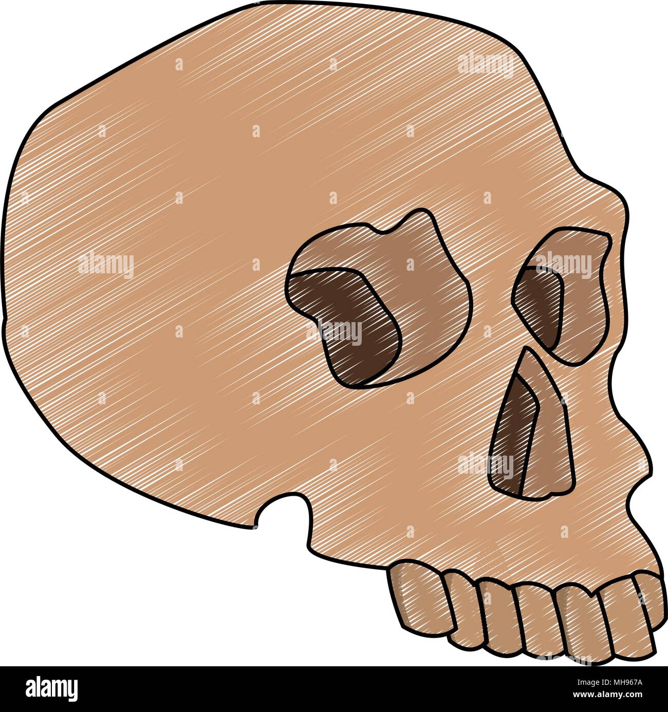 Human skull cartoon scribble Stock Vector Image & Art - Alamy