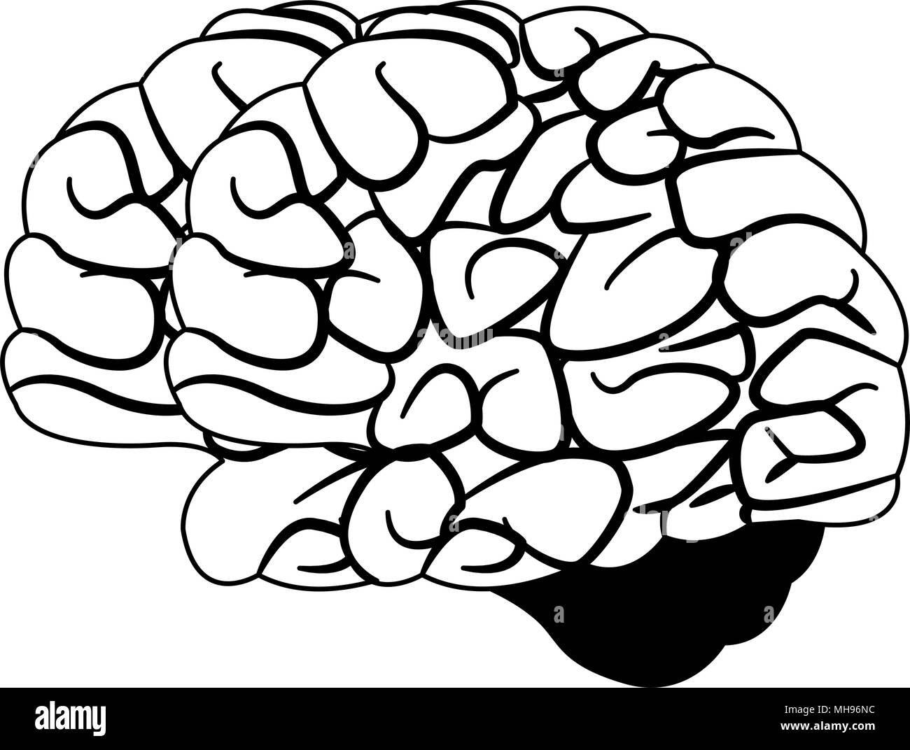 Human brain cartoon on black and white colors Stock Vector Image & Art ...
