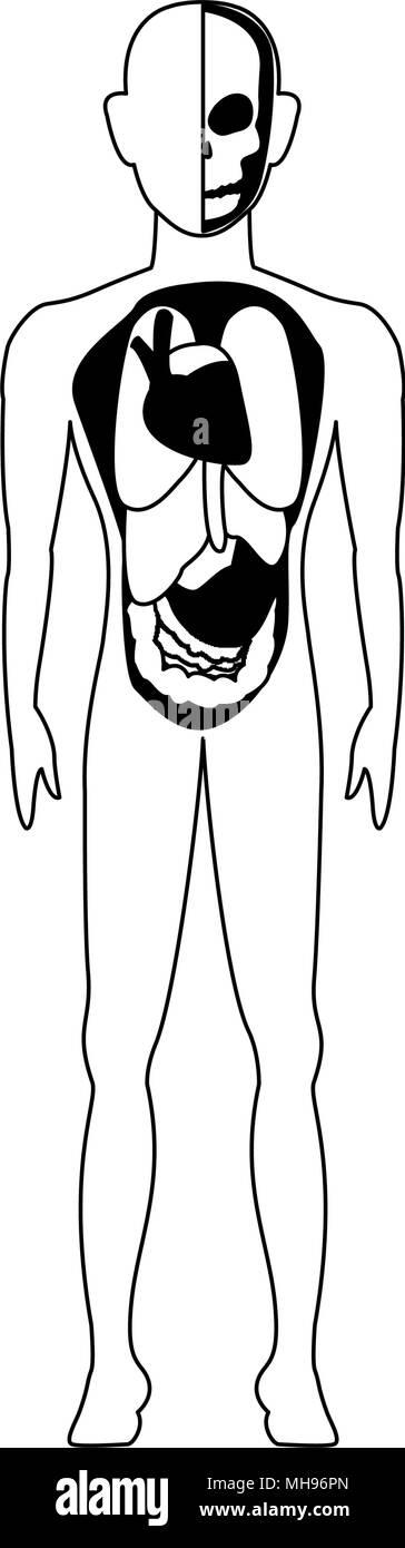 Human body anatomy on black and white colors Stock Vector Image & Art ...