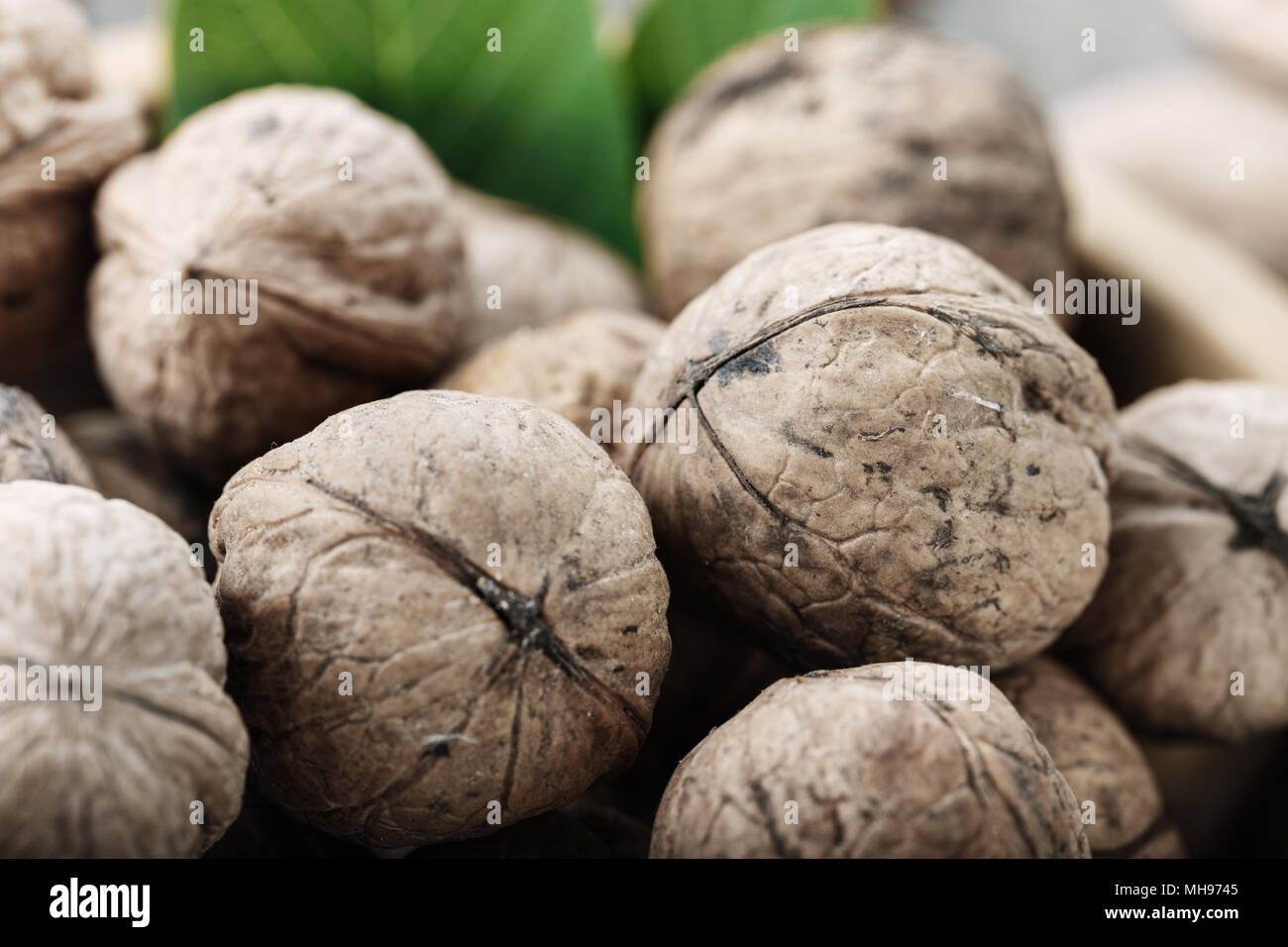 Fresh walnut harvest close-up Stock Photo - Alamy