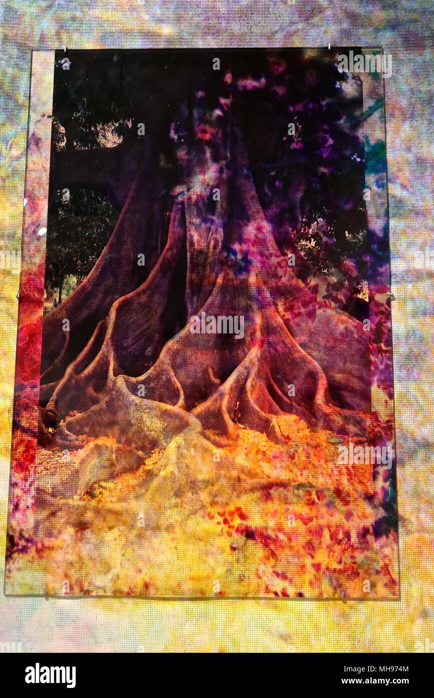 Shape of light 100 Years of Photography and abstract Art 2 May - 14 Oct ...