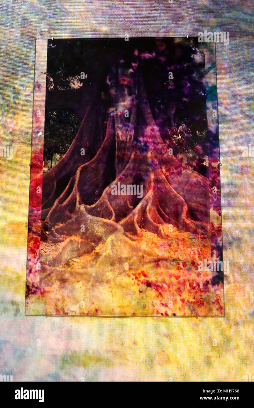 Shape of light 100 Years of Photography and abstract Art 2 May - 14 Oct ...