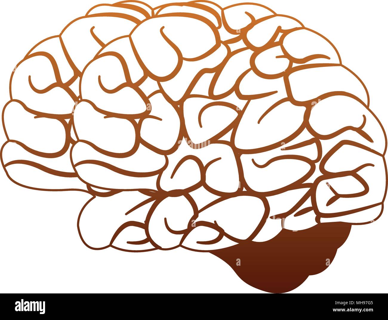 Human brain cartoon on orange lines Stock Vector Image & Art - Alamy