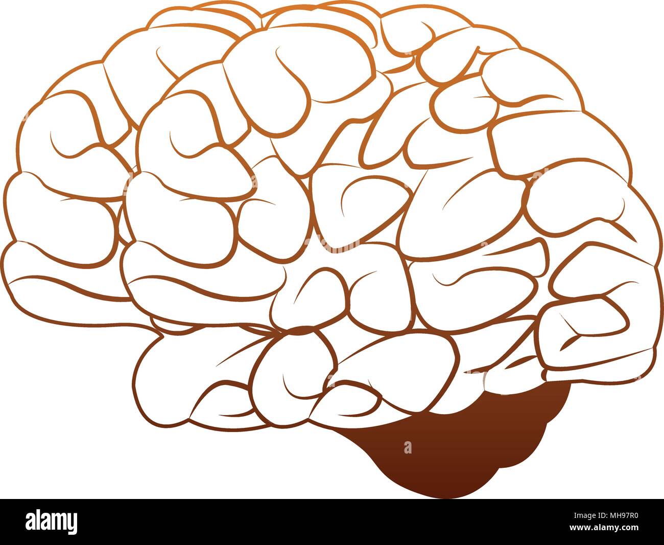 Human brain cartoon on orange lines Stock Vector Image & Art - Alamy