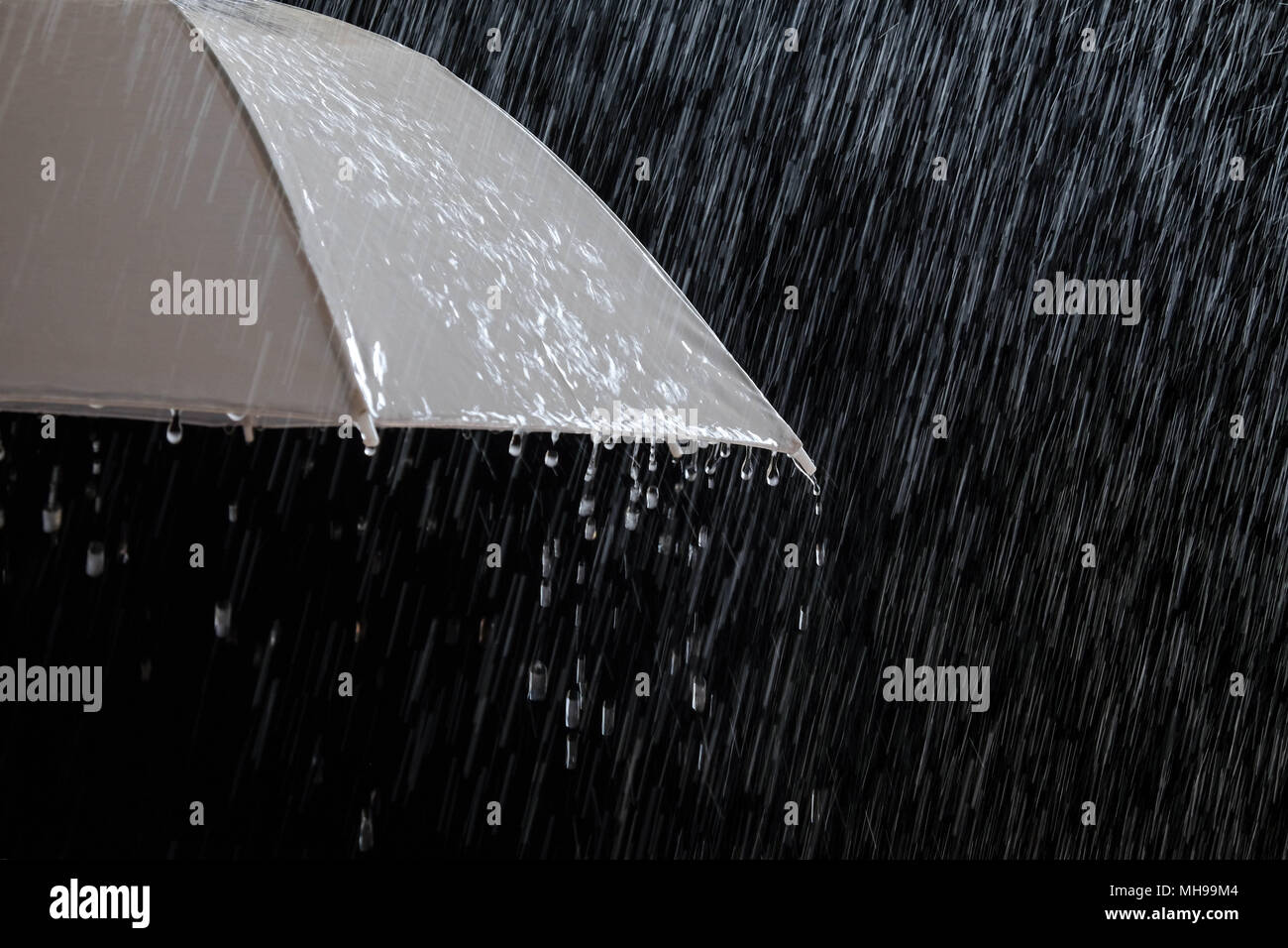 Wet protection umbrella in stormy weather with natural thunderstorm, on ...