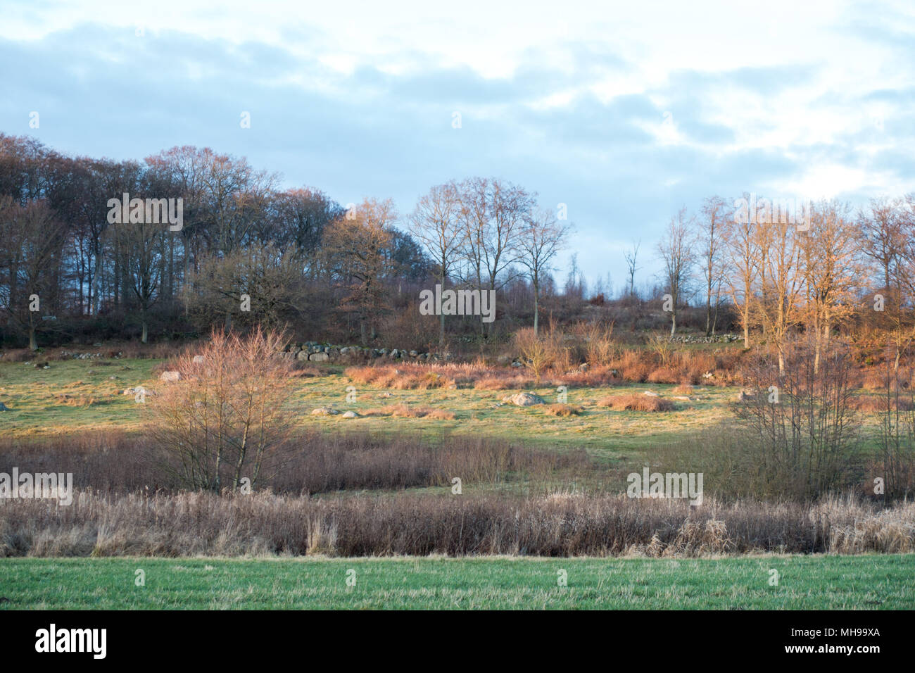 Hilly landscape at sunset hi-res stock photography and images - Alamy