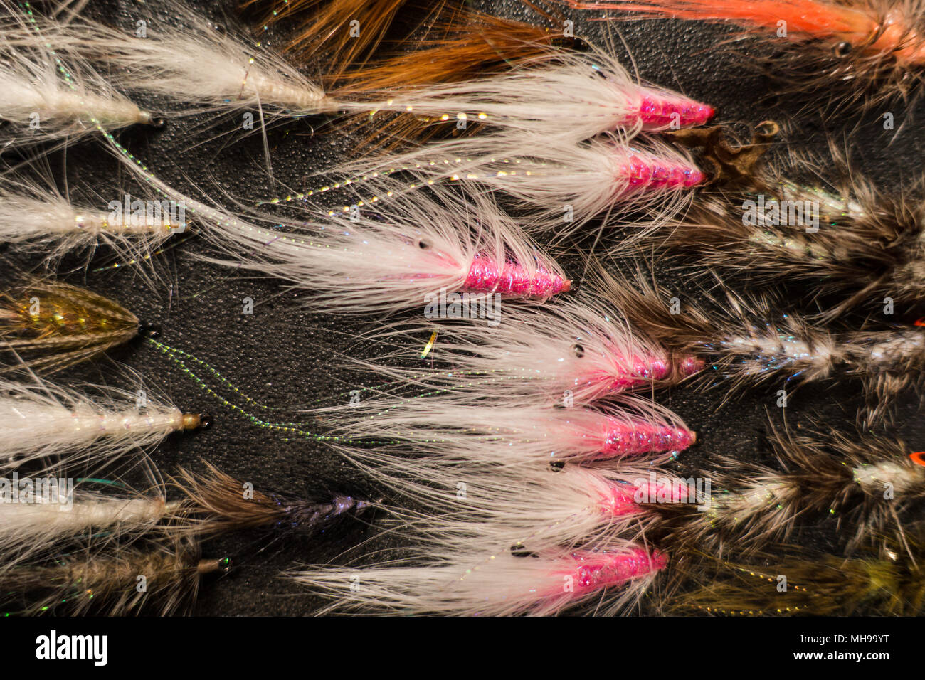 Saltwater fly fishing hi-res stock photography and images - Alamy