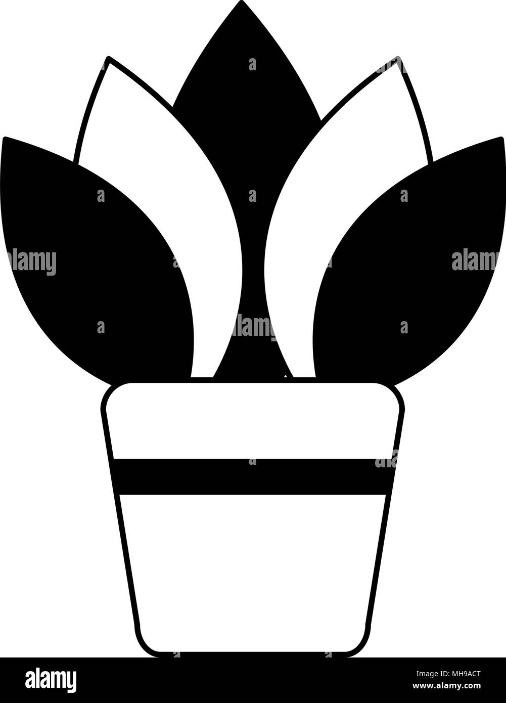 Plants gardening tools background Black and White Stock Photos & Images ...