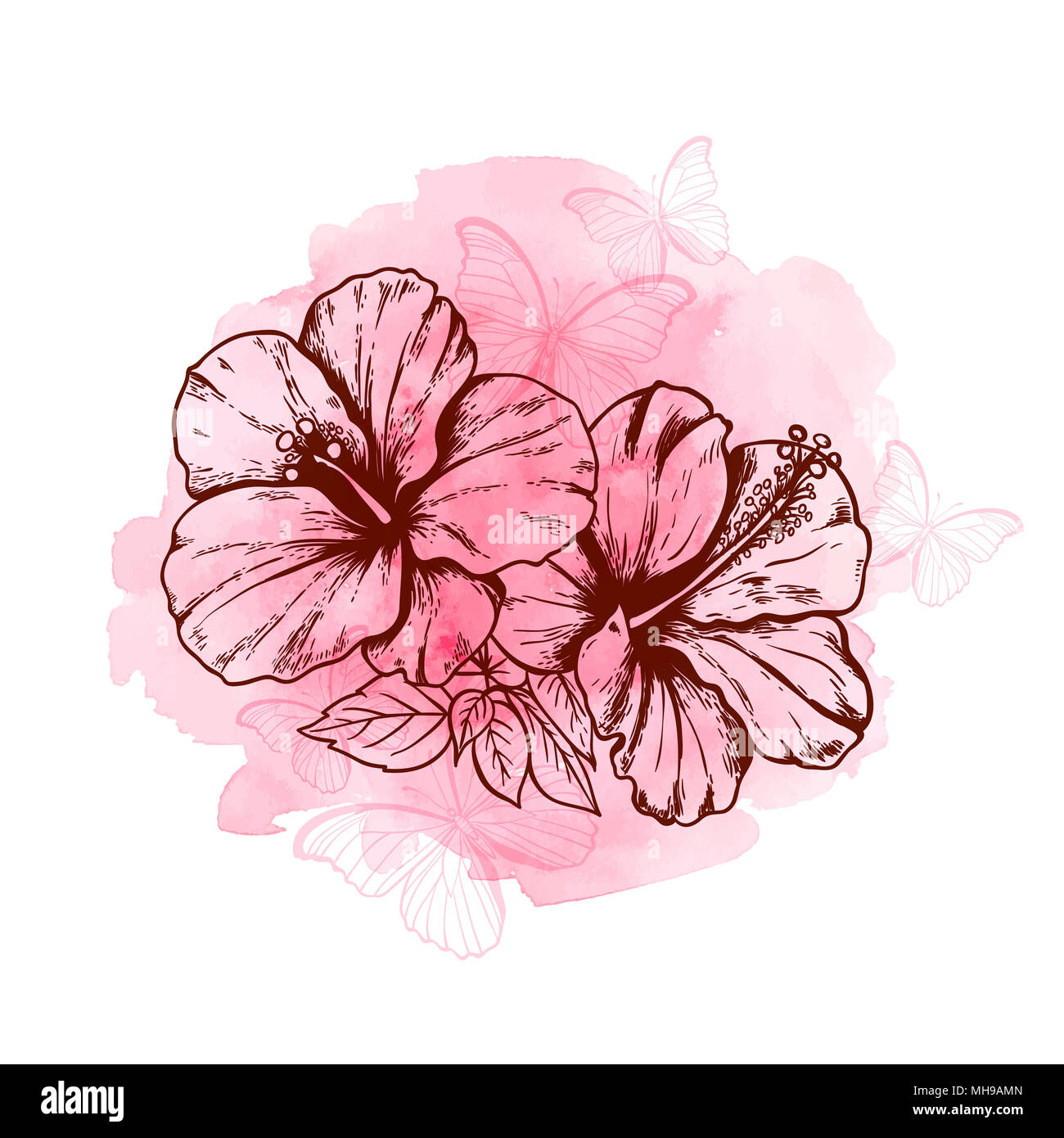 Pink Hibiscus Flower Background