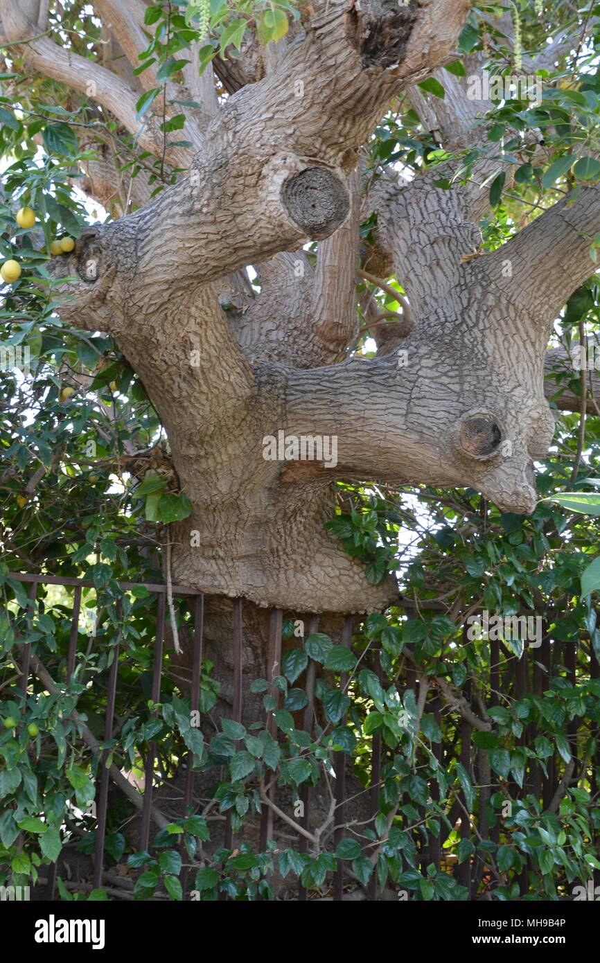 Even stones hi-res stock photography and images - Alamy