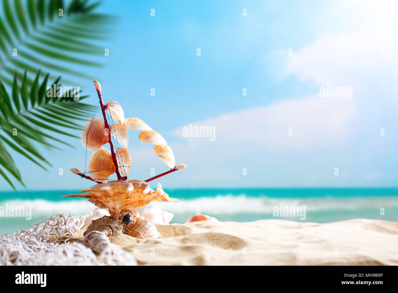 Landscape with shells on tropical beach. Rest on the beach. Travel ...