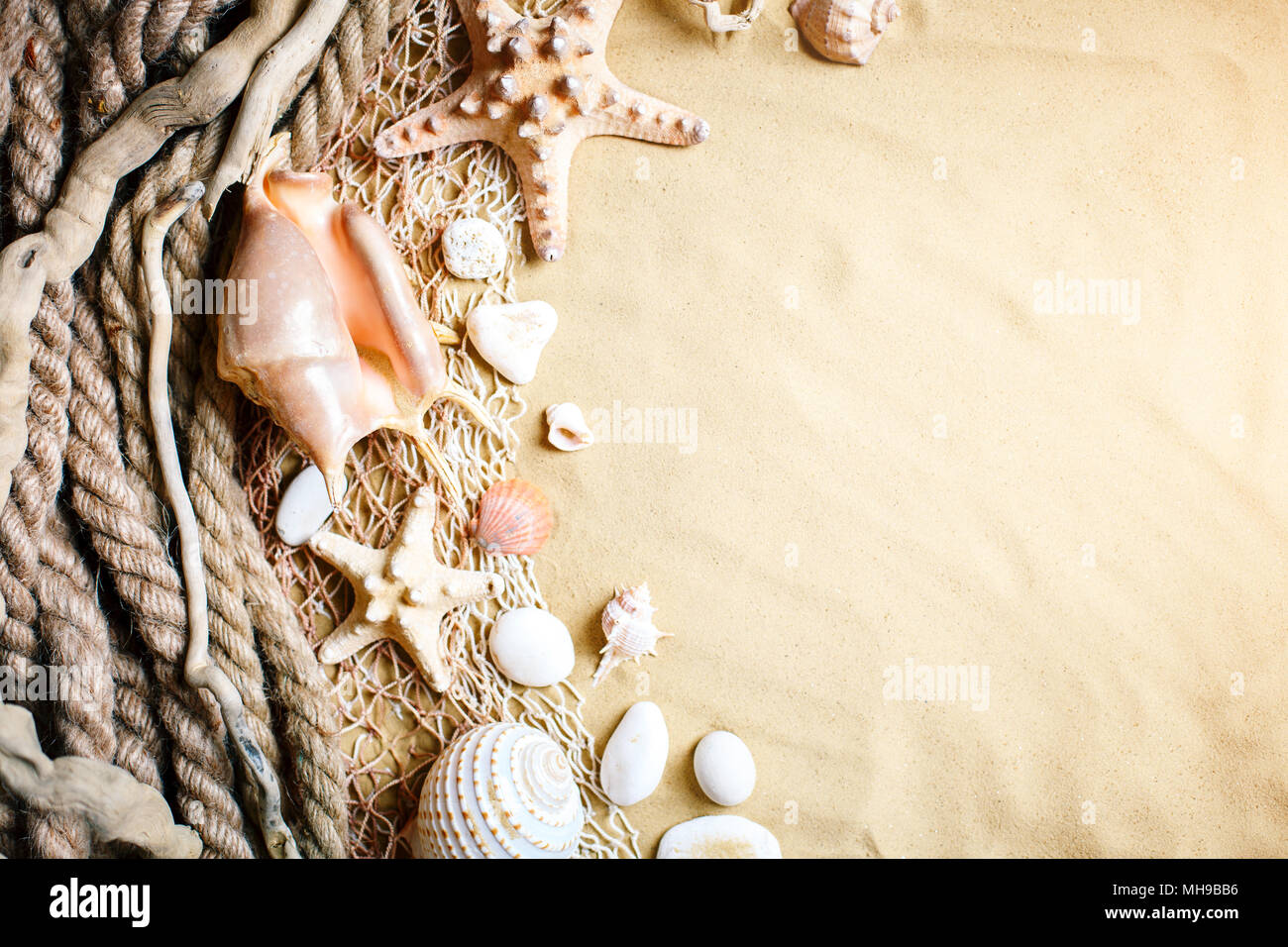 Landscape with shells on tropical beach. Rest on the beach. Travel ...