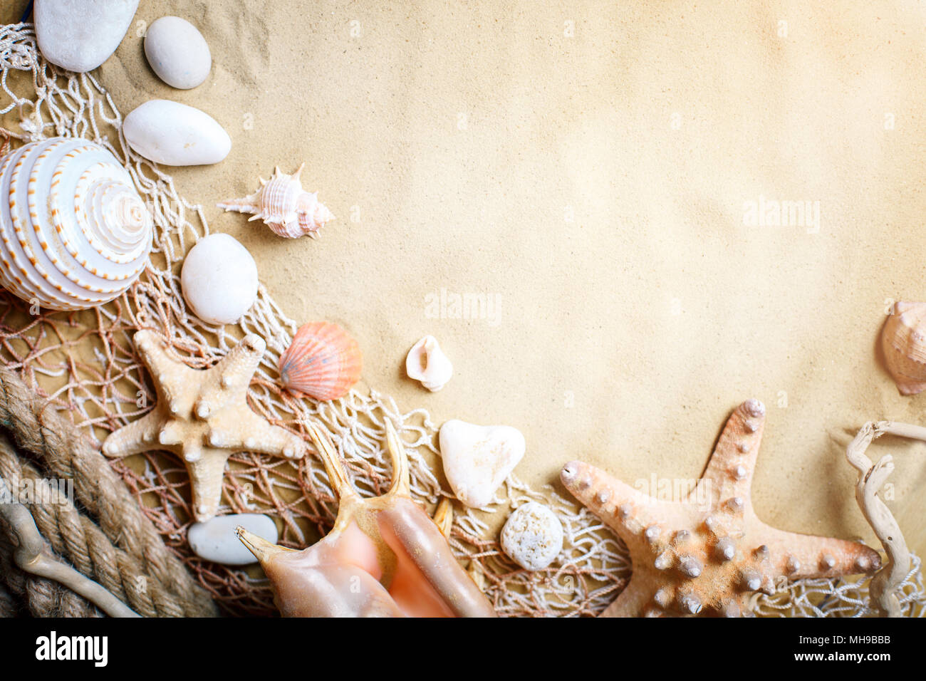 Landscape with shells on tropical beach. Rest on the beach. Travel ...