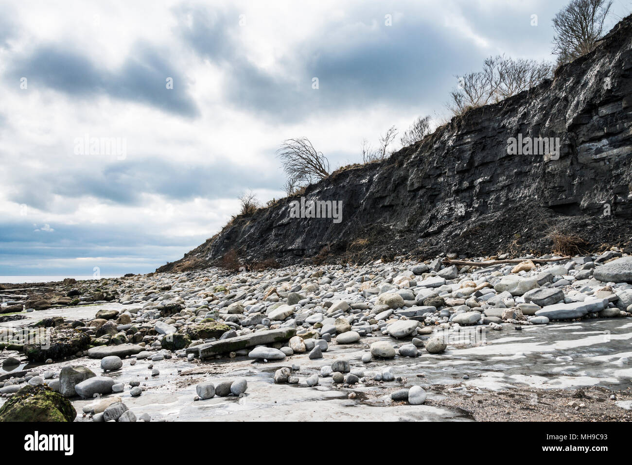 Blue lias cliffs lyme regis hi-res stock photography and images - Alamy