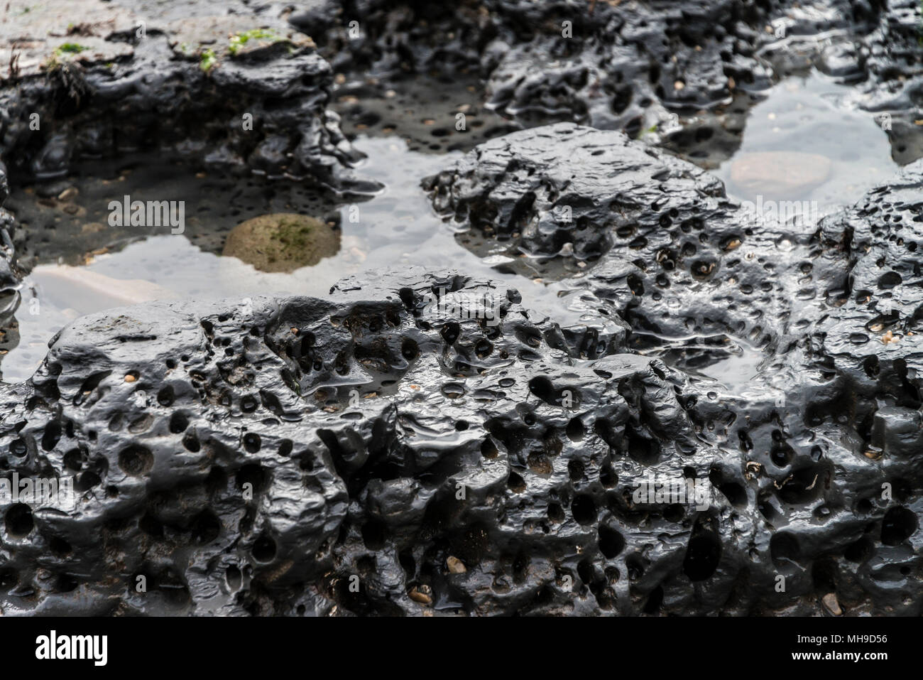 Piddock bore holes hi-res stock photography and images - Alamy