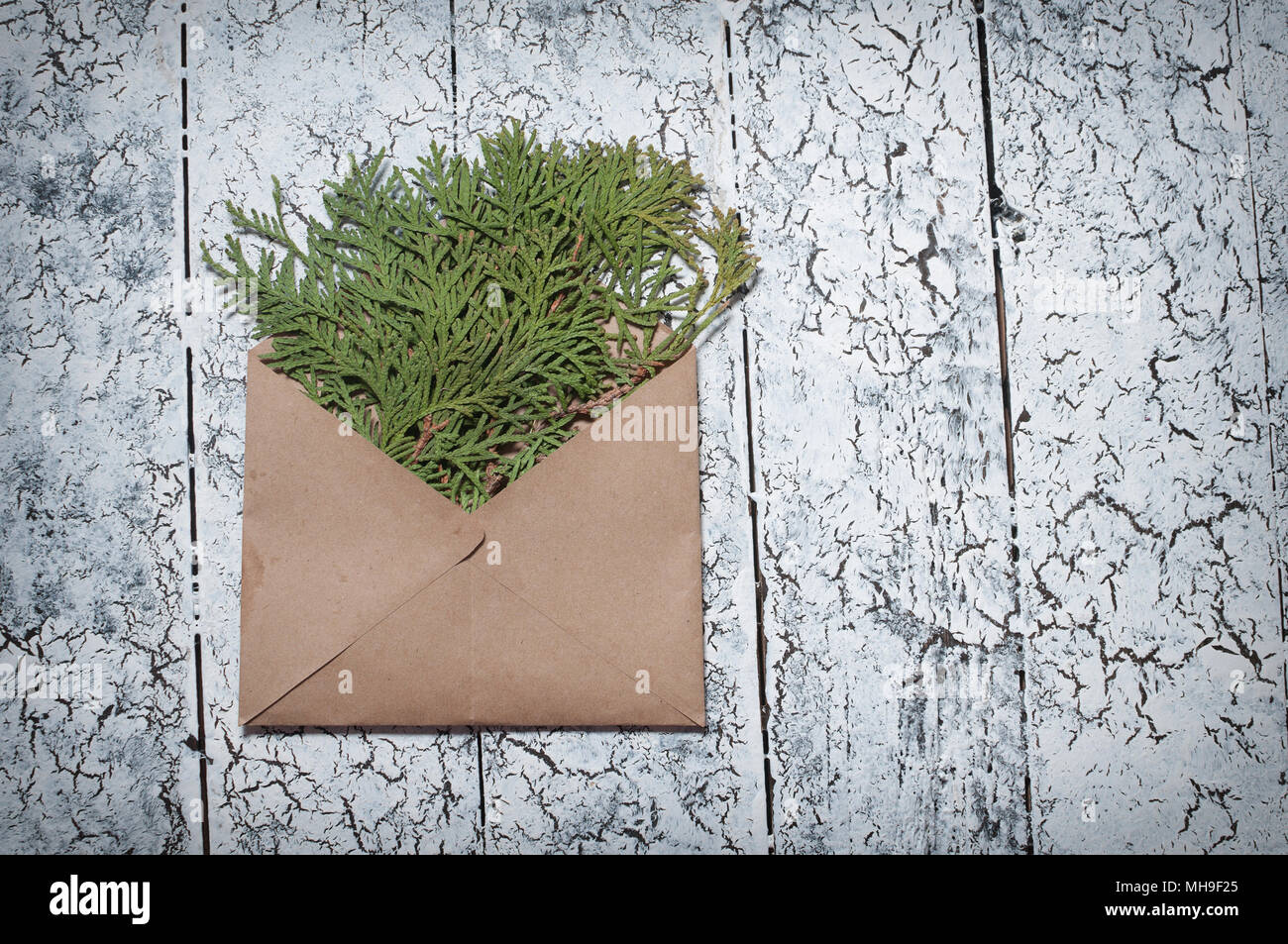 Christmas fir tree envelope hi-res stock photography and images - Alamy