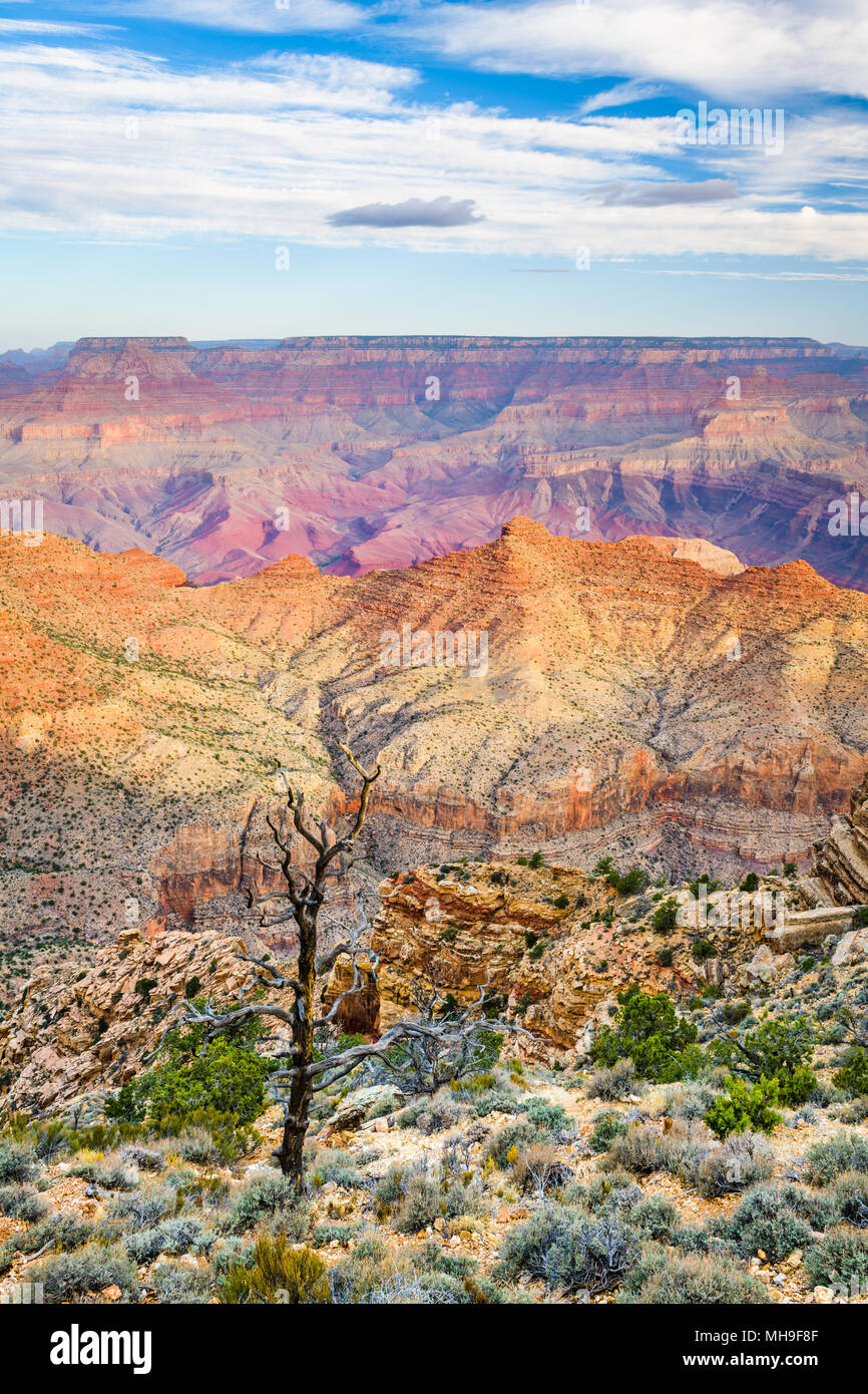 Grand Canyon, Arizona, USA at dawn from the south rim Stock Photo - Alamy