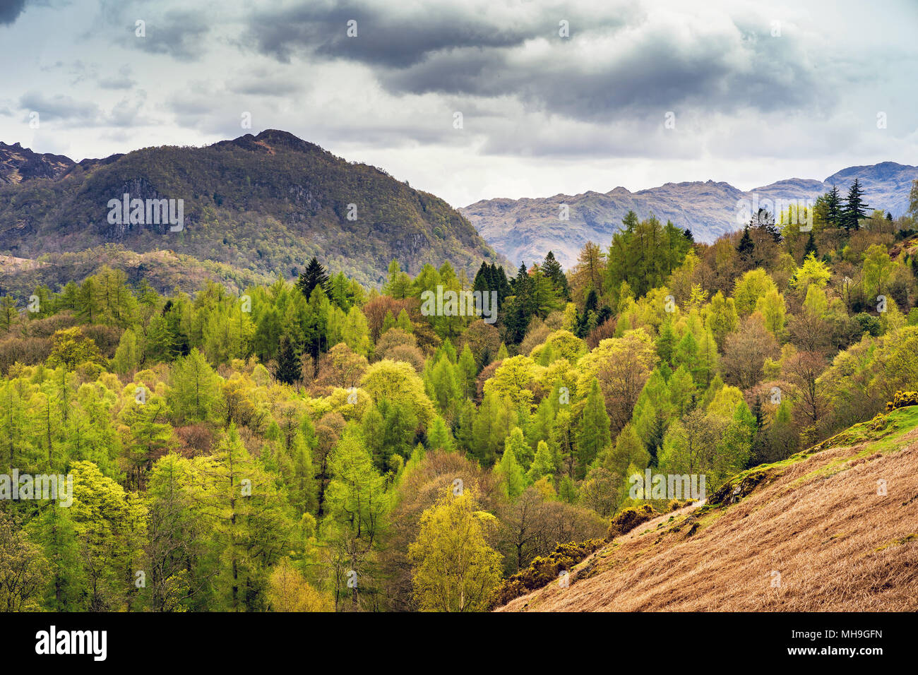 Manesty Park and Grange Craggs, Derwentwater Stock Photo - Alamy