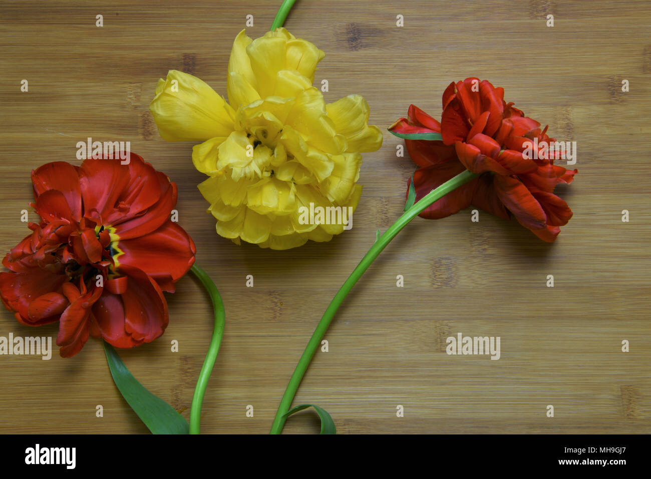 Flat lay flowers summer hi-res stock photography and images - Alamy