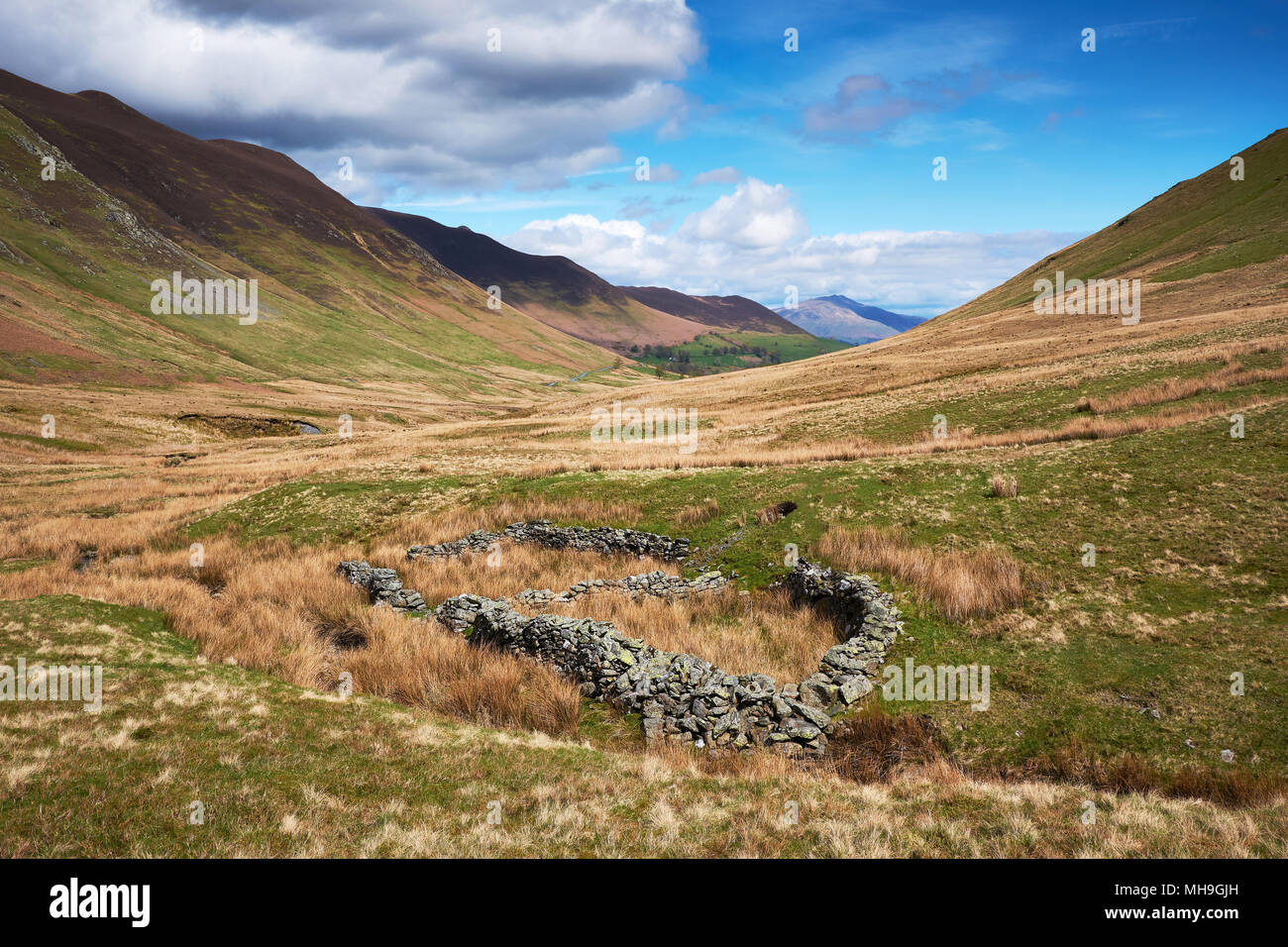 Stone sheep fold hi-res stock photography and images - Alamy