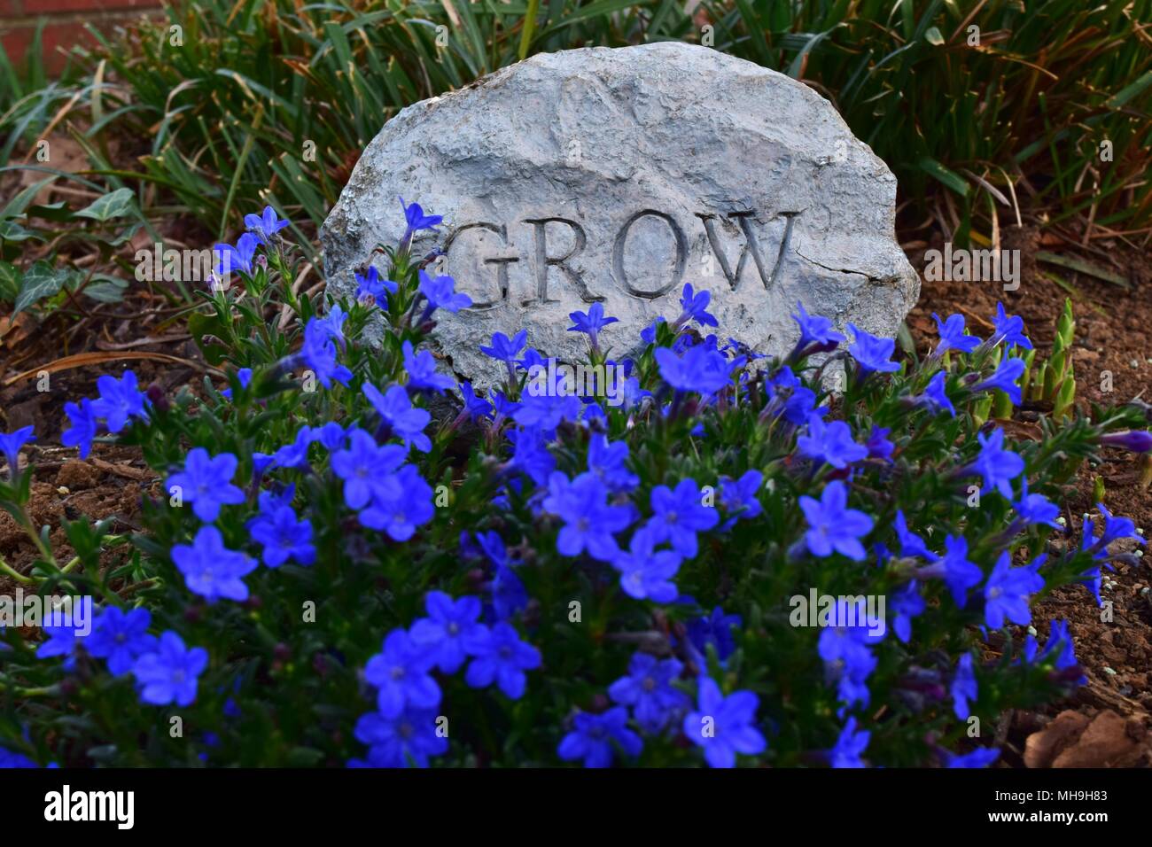 Grow garden stone Stock Photo - Alamy