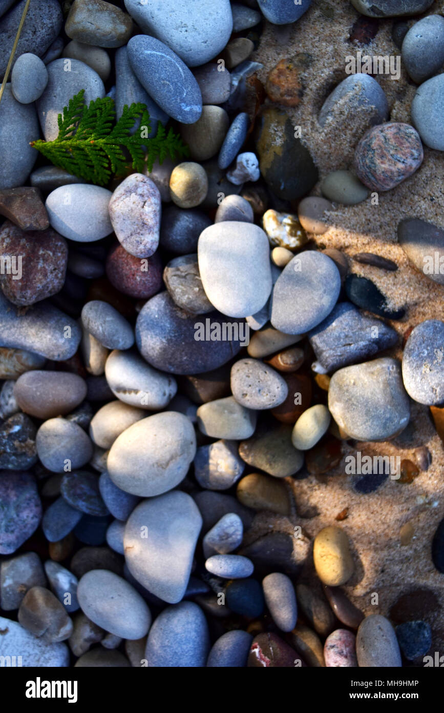 Smooth lake rocks on the shore Stock Photo - Alamy
