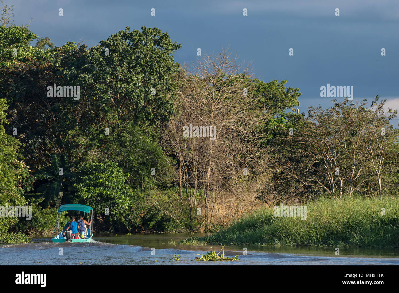 Sierpe River, Sierpe, Costa Rica, Centroamerica Stock Photo - Alamy