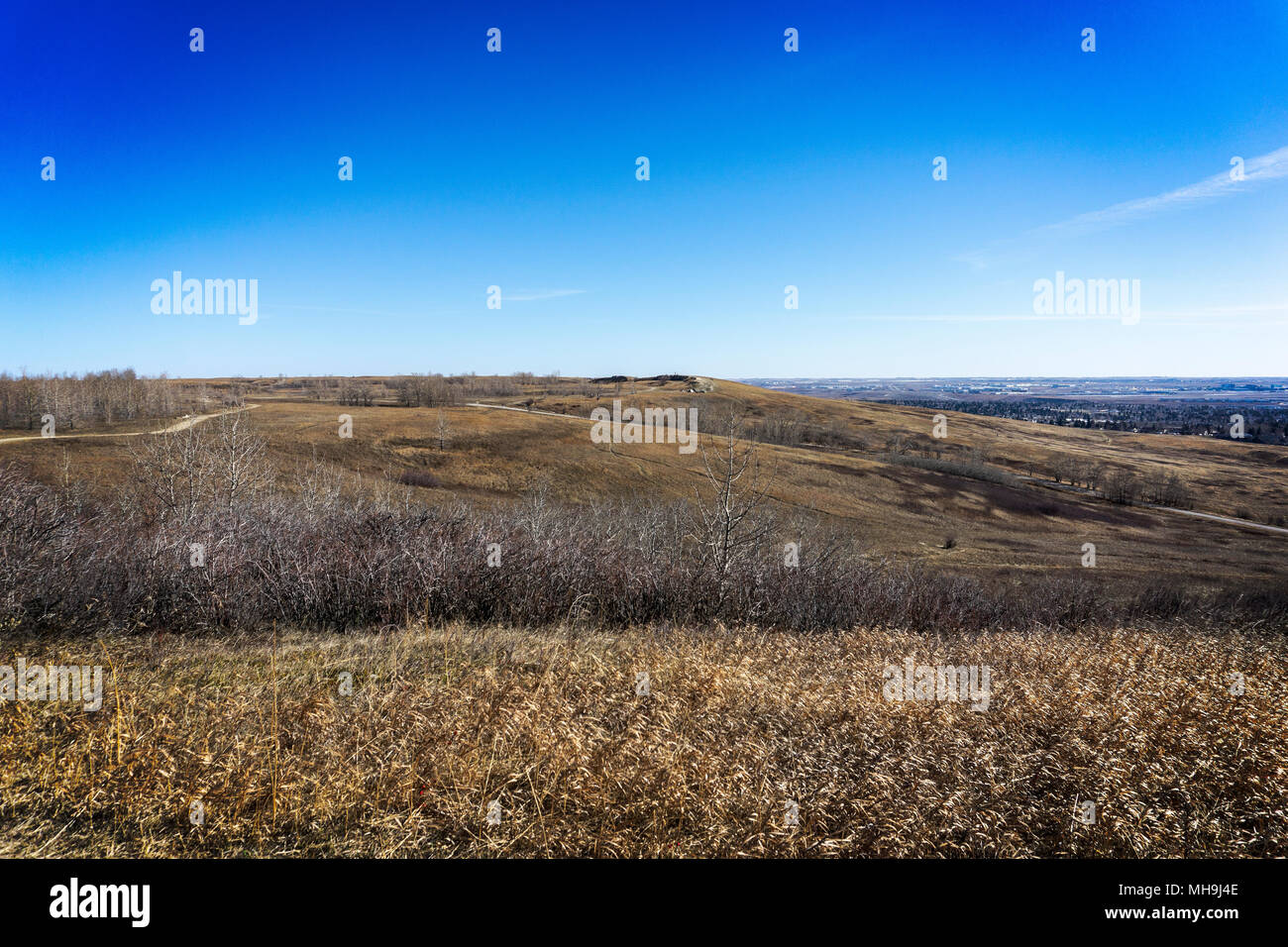 Nose Hill Park Calgary Alberta Canada Stock Photo - Alamy