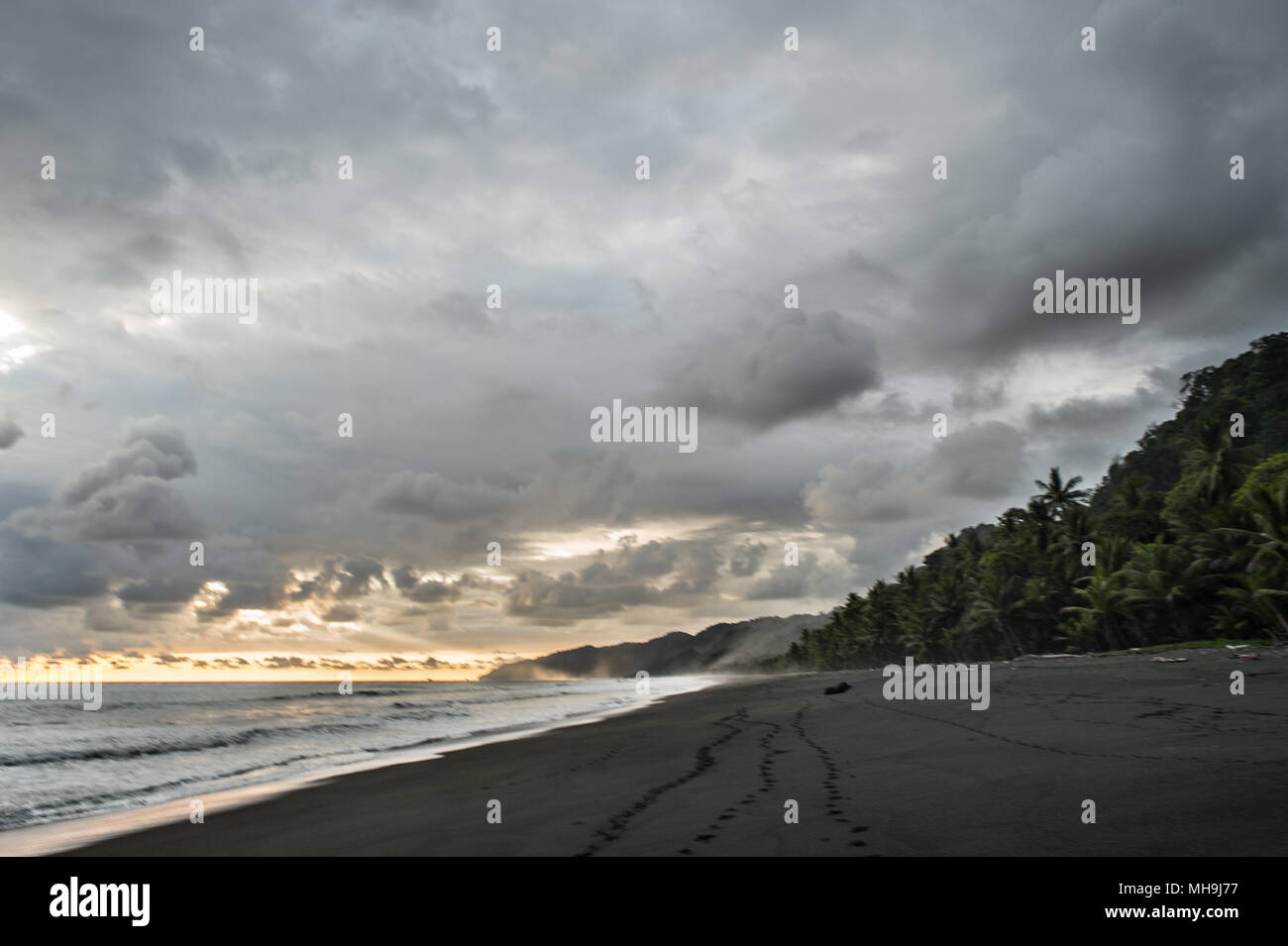 Carate Beach, Corcovado National Park, Costa Rica, Centroamerica Stock ...