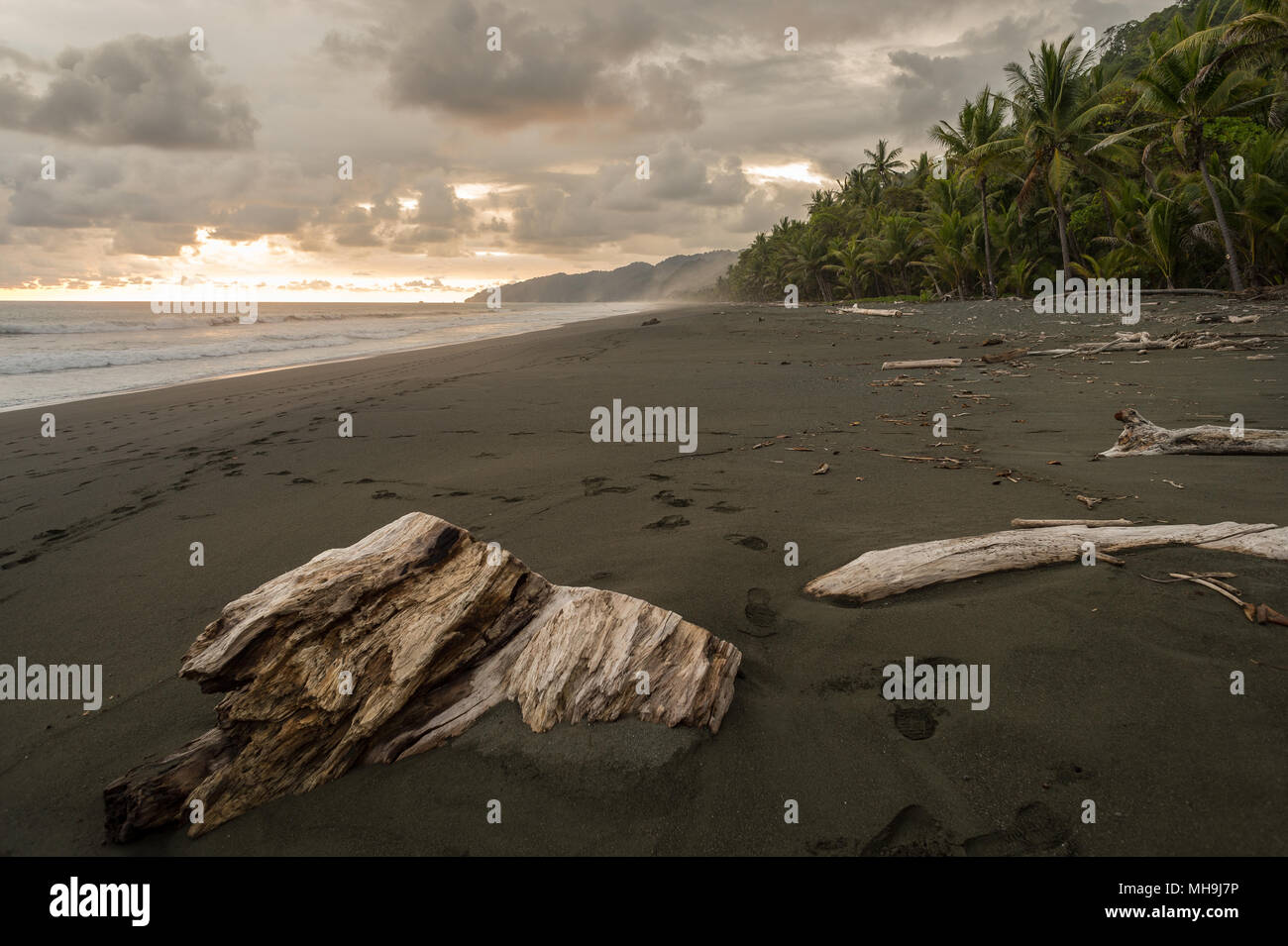 Carate Beach, Corcovado National Park, Costa Rica, Centroamerica Stock ...