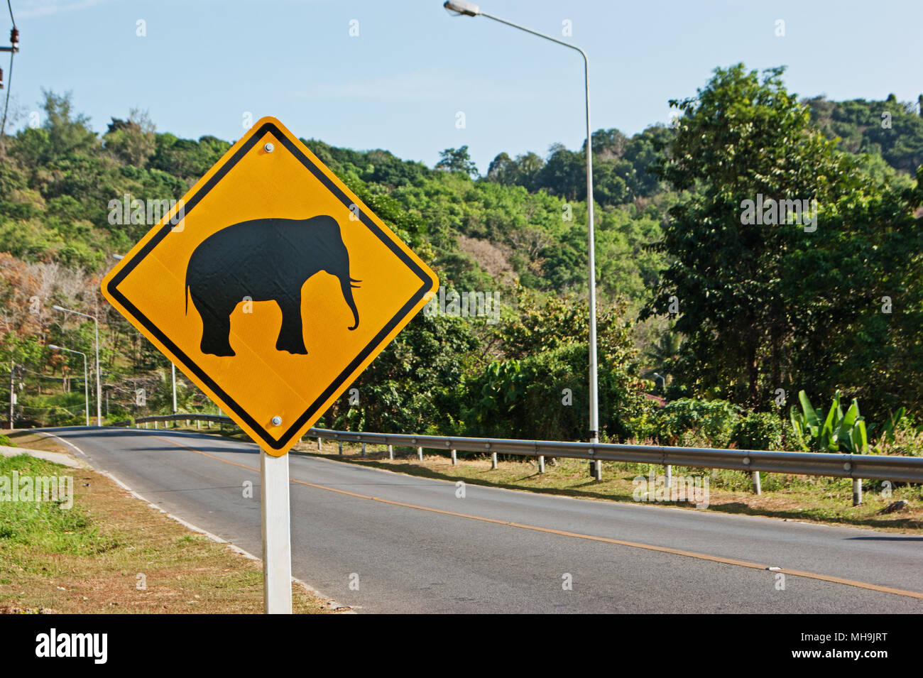 Elephants crossing the road sign in Phuket; Thailand Stock Photo - Alamy