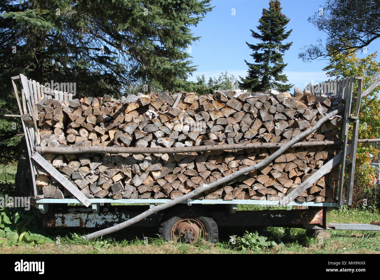 Log Pile Euc