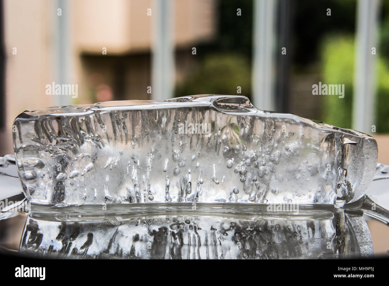 ice cube in a plate Stock Photo - Alamy