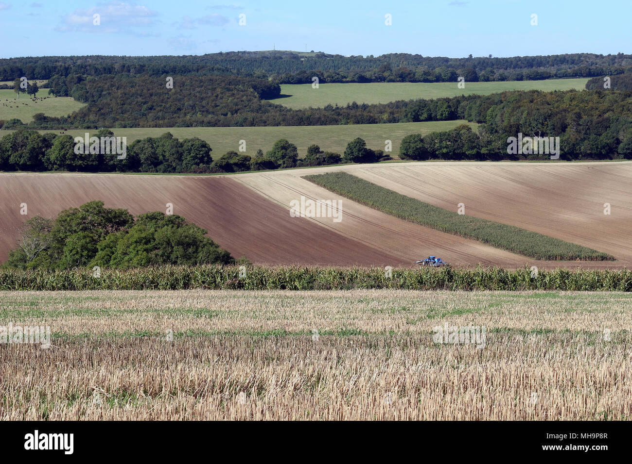 Combine england fields hi-res stock photography and images - Alamy