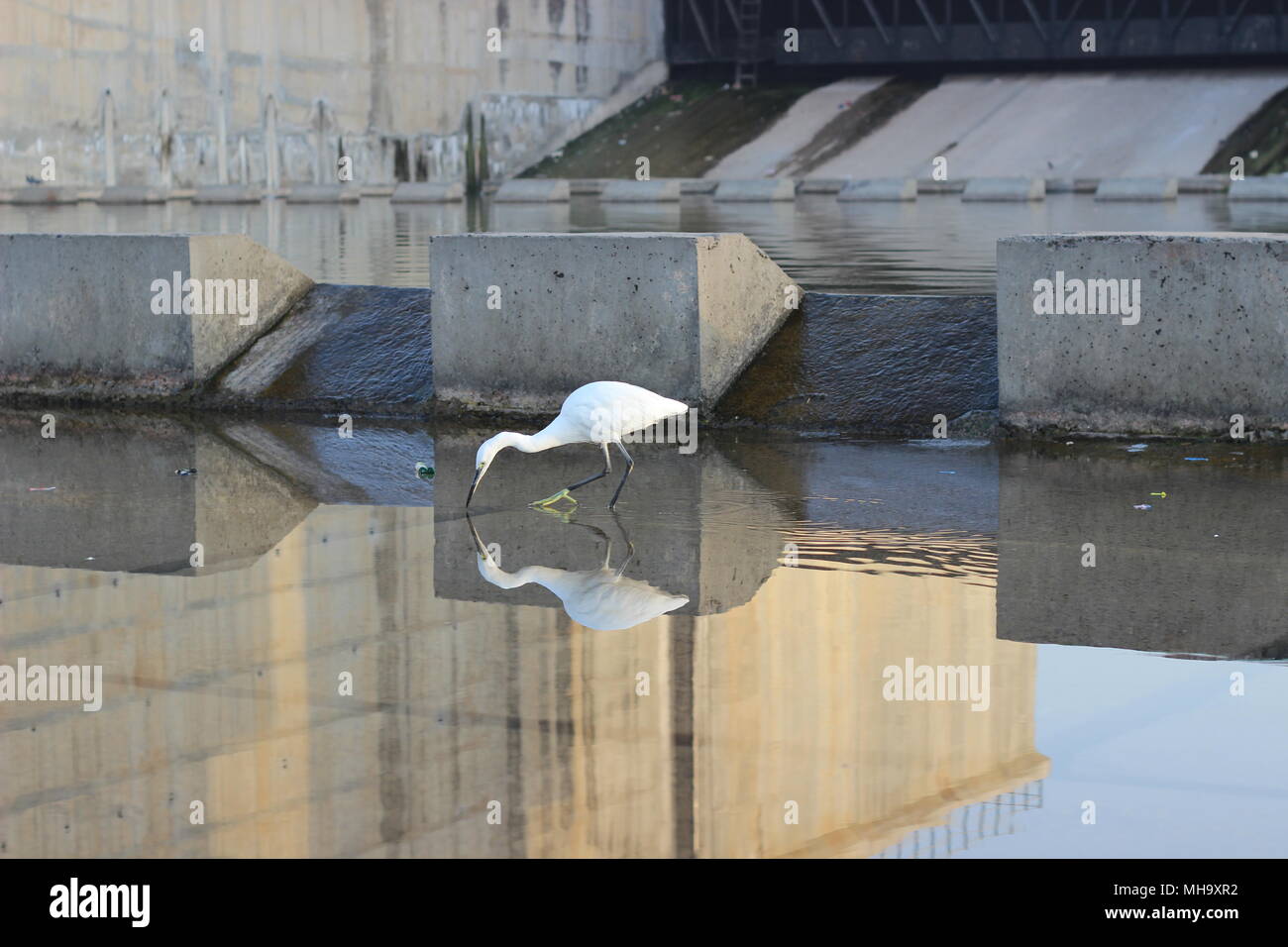 In a world of algorithms hashtags and followers Stock Photo - Alamy