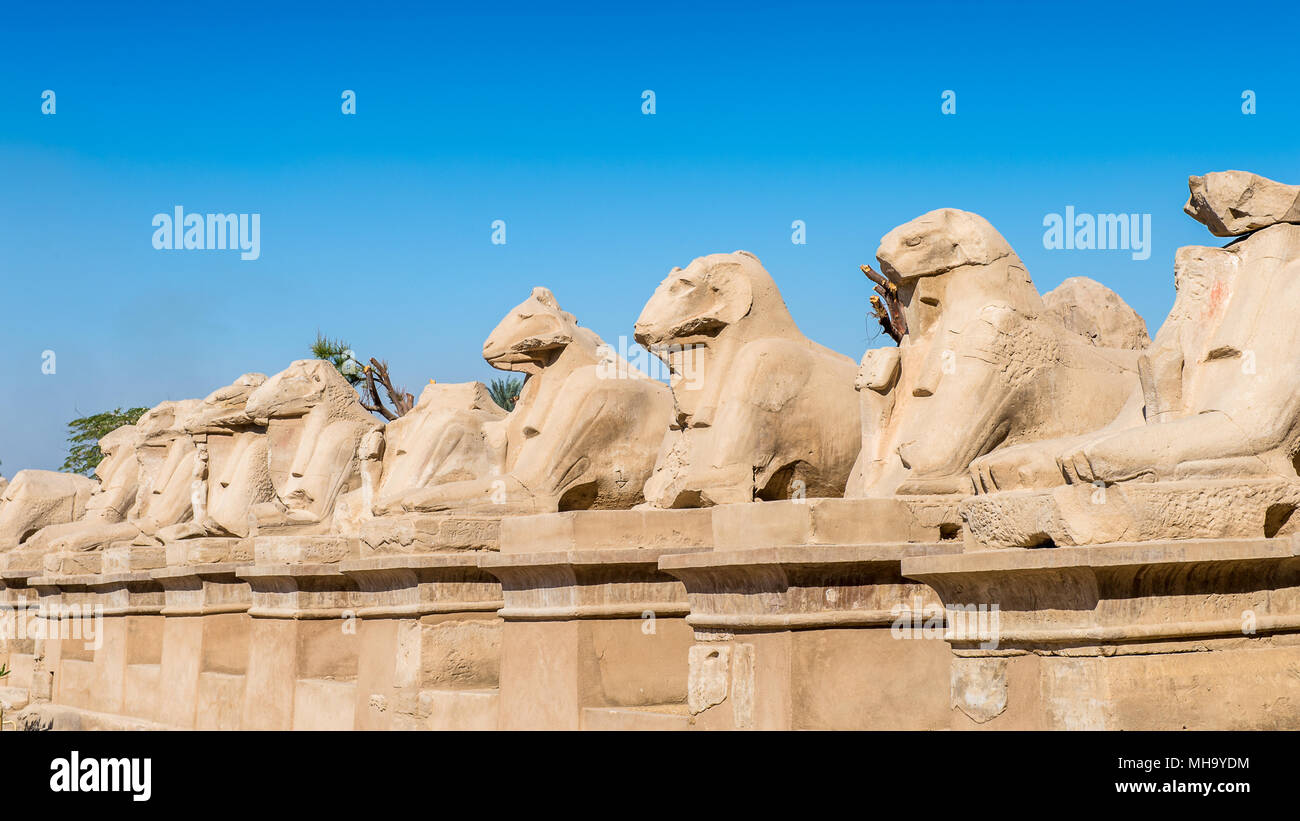 Ram statues of the Karnak temple, Luxor, Egypt (Ancient Thebes with its ...