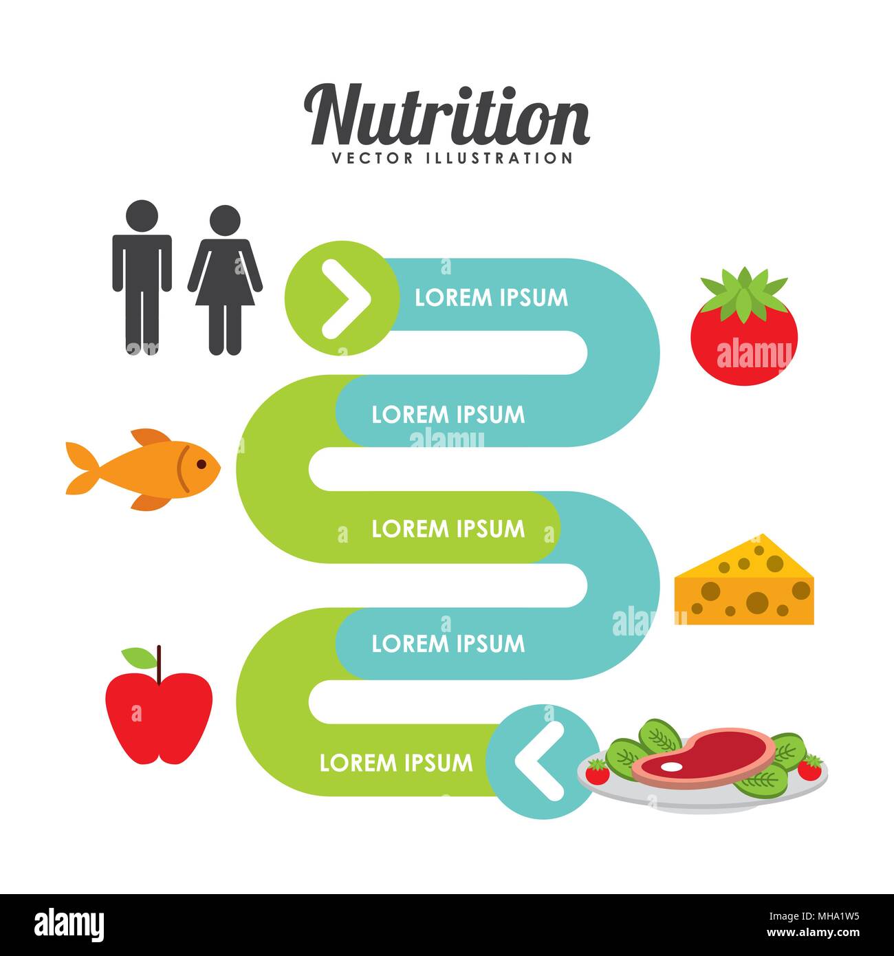 nutrition concept design, vector illustration eps10 graphic Stock ...