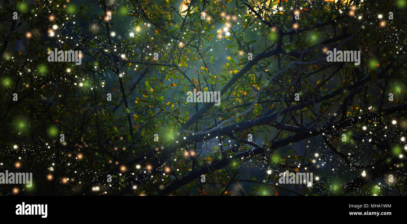 Abstract and magical image of Firefly flying in the night forest. Fairy ...