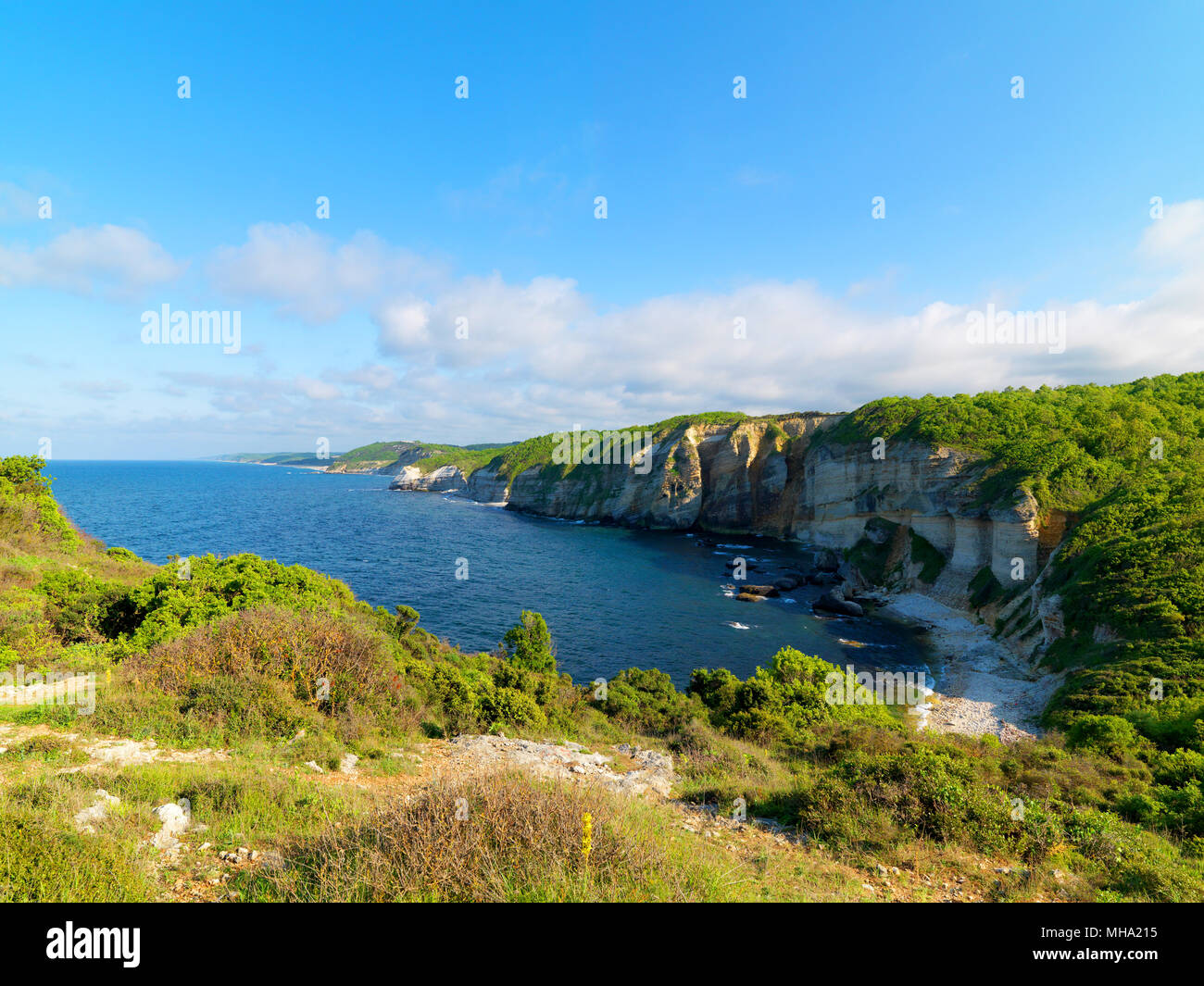 Outdoor sea view tree hi-res stock photography and images - Alamy
